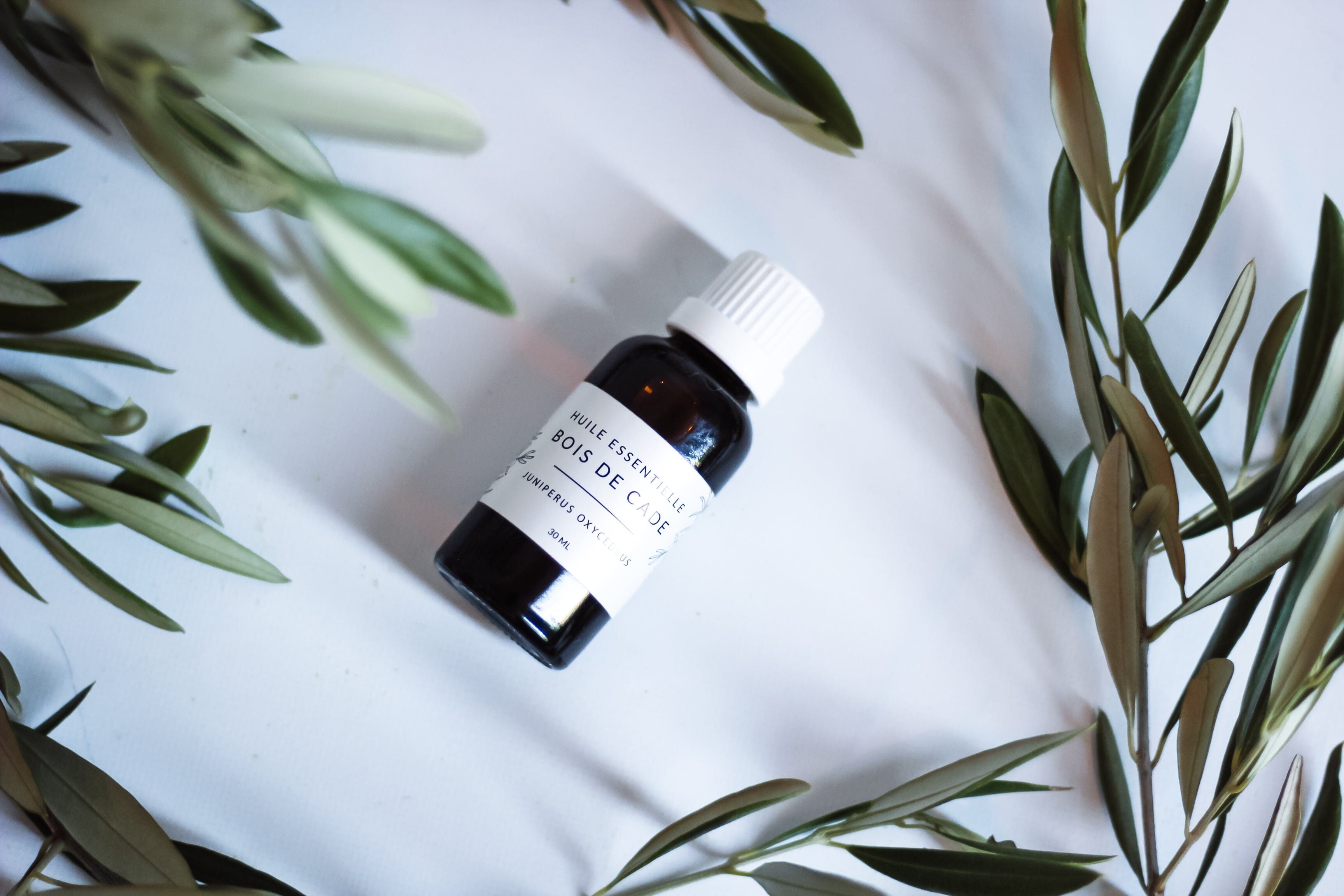 The virtues of Cade essential oil | Distillerie des Cévennes