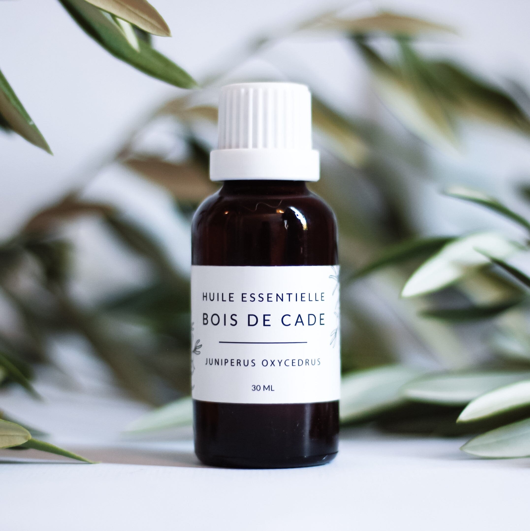 Juniperus Cade Essential Oil | Juniperus Oxycedrus